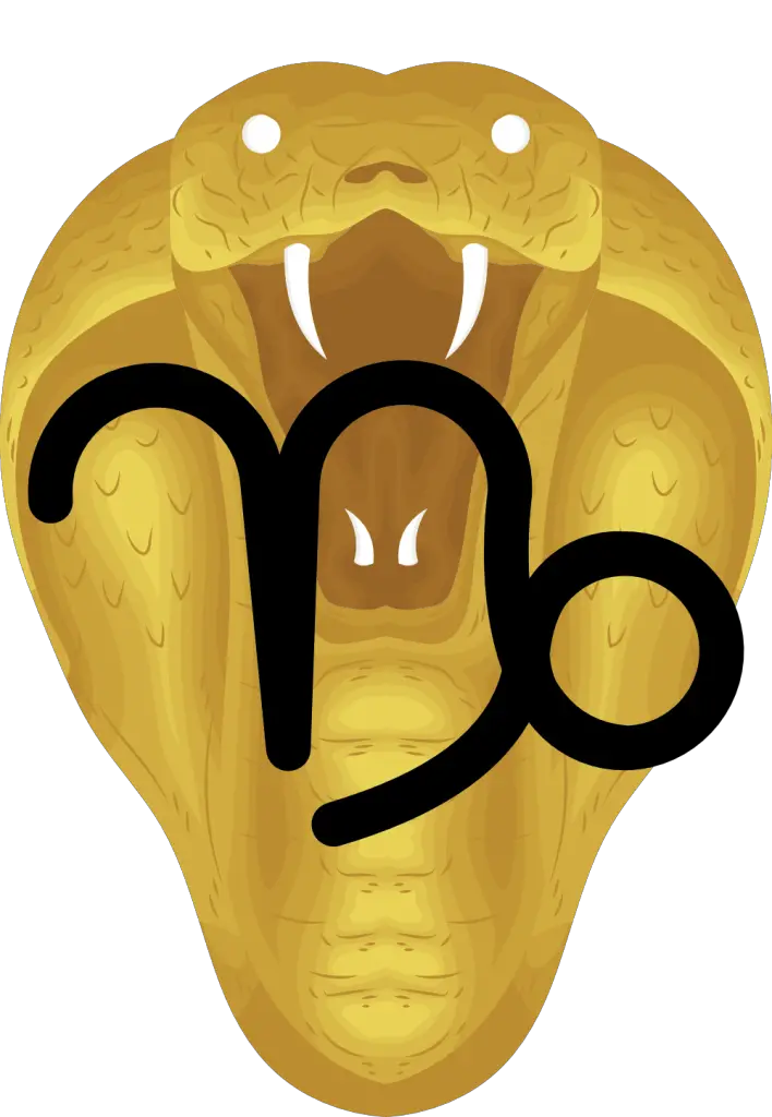 Capricorn Snake: The Wise Strategist - Zodiac Fusion