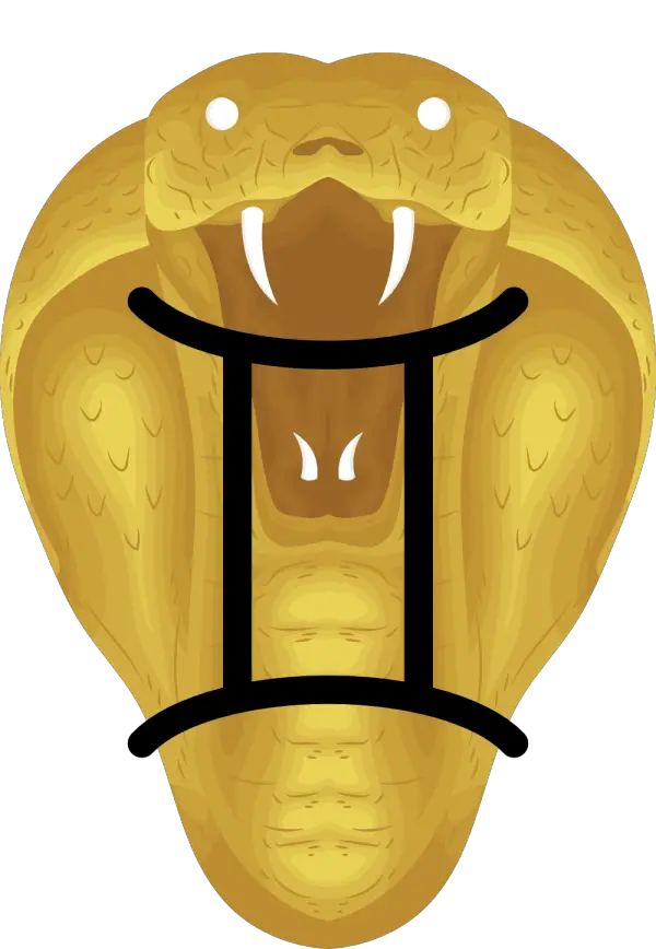 Gemini Snake: The Thoughtful Strategist - Zodiac Fusion