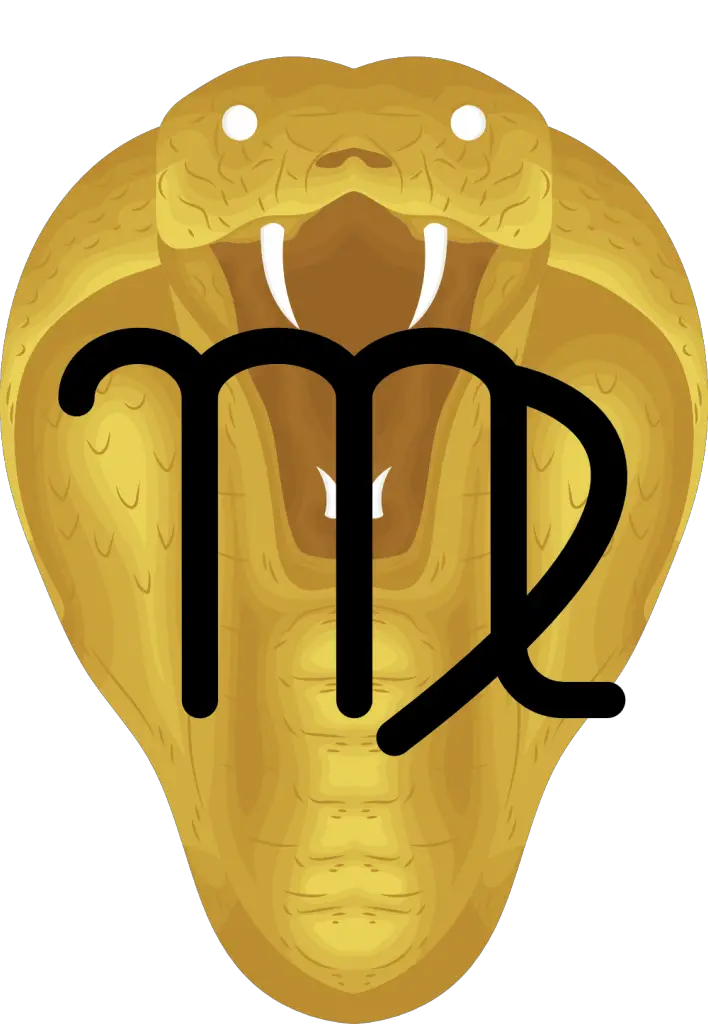 Virgo Snake: An Analytical and Mysterious Personality - Zodiac Fusion